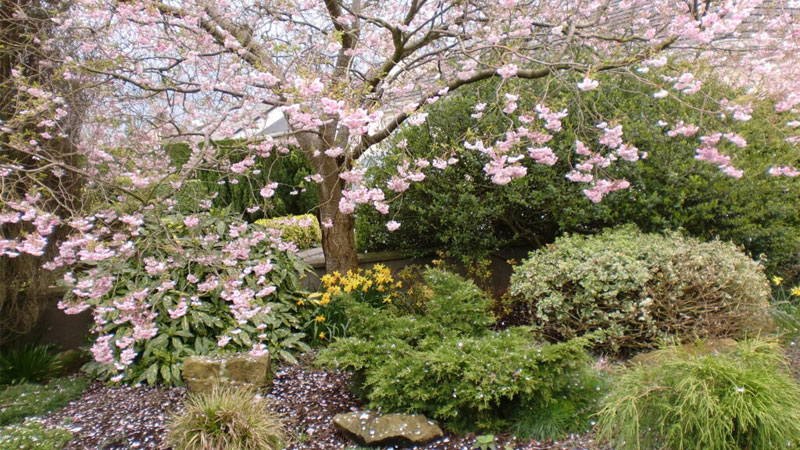 Noel Buckley Landscapes - Tullamore - Landscape Gardeners ...