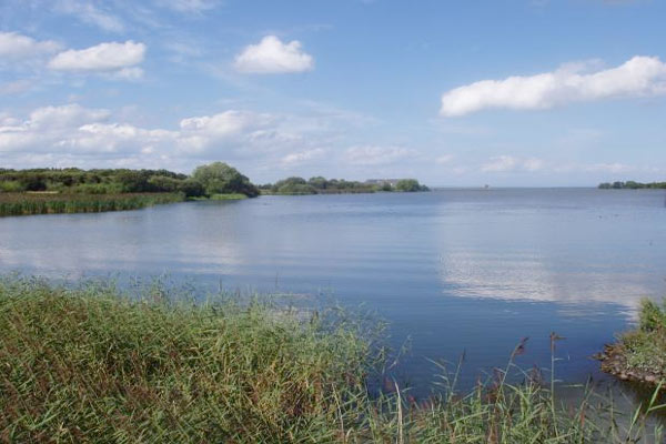 Plans To Extract Sand From Lough Neagh Approved | Irish Construction News