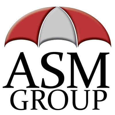 ASM Group Expands Business Model With Renewed Focus And Development On Training Services | Irish ...