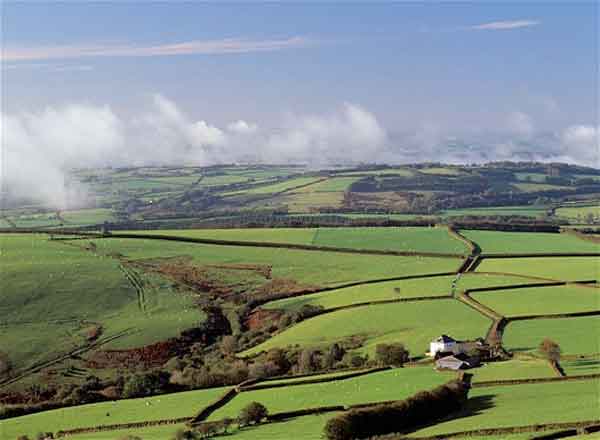 Urgent Call To Extend Croí Cónaithe Scheme In Rural Areas | Irish ...