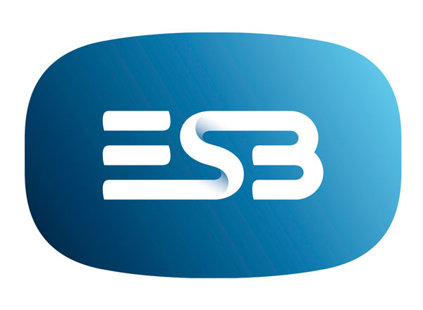 ESB Announces Key Director Changes | Irish Construction News