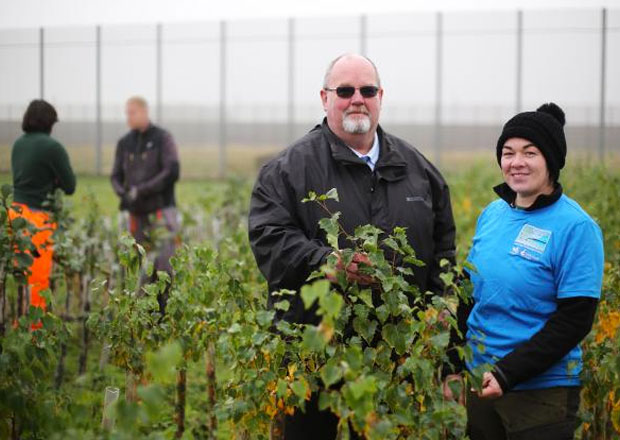 Environmental Scheme Transforms Magilligan Prison | Irish Construction News