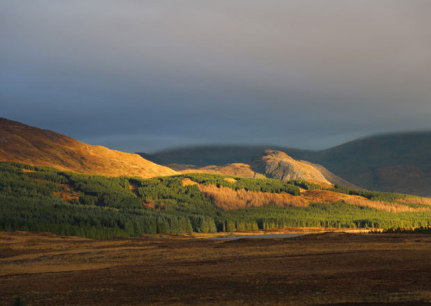 New Climate Resilient Reforestation Pilot Scheme Launches | Irish ...