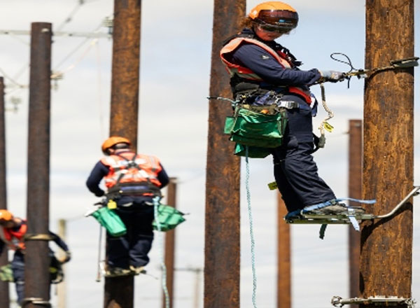 ESB Welcomes Over 100 Graduates To Development Programme | Irish ...