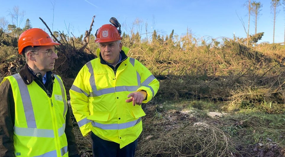 Clean Ups And Restoration Work Ongoing At Storm-Hit NI Forests | Irish ...