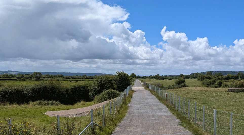 Johnston Houston Rebrands As Drees & Sommer UK | Irish Construction News