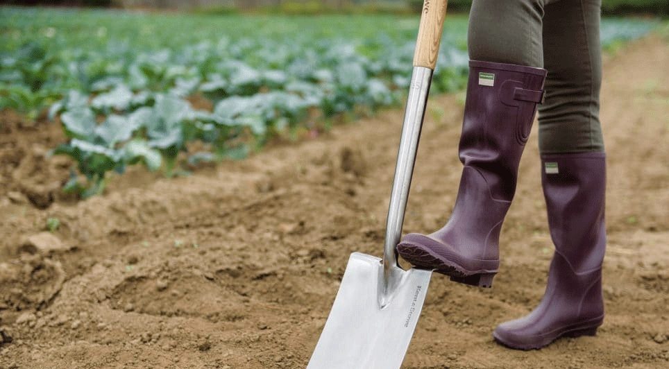 Johnston Houston Rebrands As Drees & Sommer UK | Irish Construction News